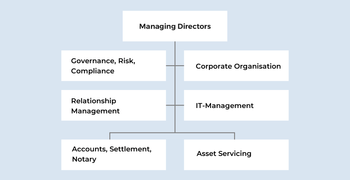 How we are organised